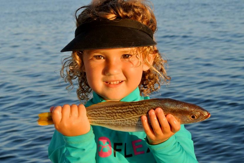 Packages & Pricing – Tropicfins Adventures